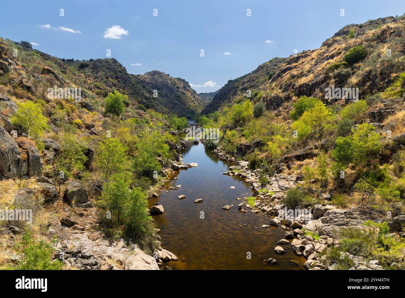 Parque Arqueologico Vale do Coa (Coa valley), UNESCO site, paleolithic ...