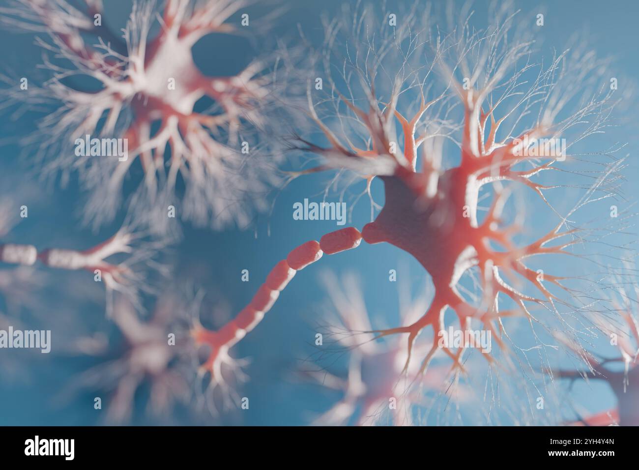 Neurons in human brain with synapses. Neurology concept. 3D rendered ...