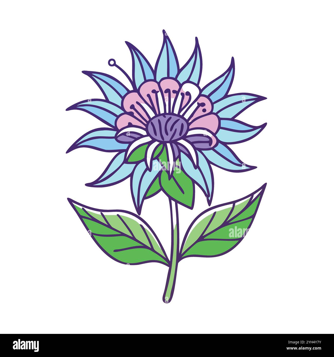 vector illustration of a bee balm flower, for floral designs, botanical ...