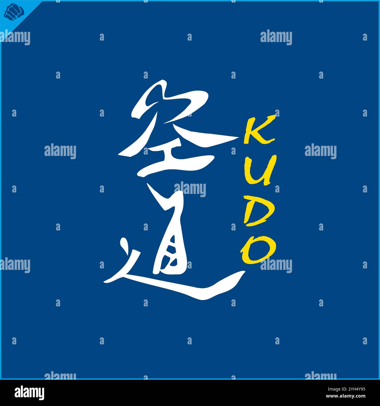 Japan kanji hieroglyph on dogi, kimono. Translated DAIDO JUKU KUDO FULL ...