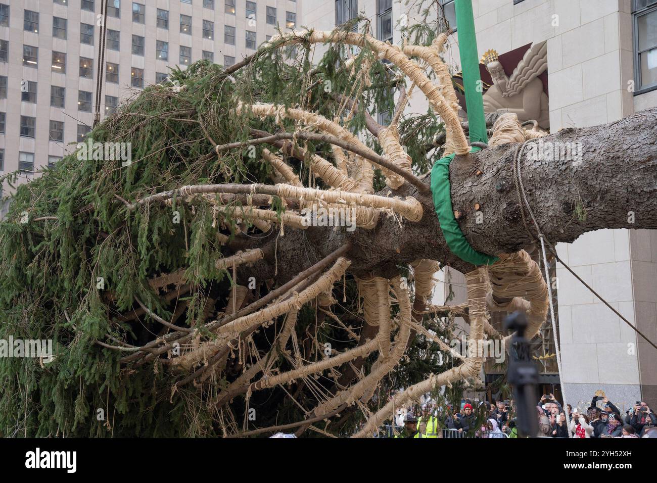 New York, NY, USA, 9 November 2024: The Rockefeller Center Christmas ...
