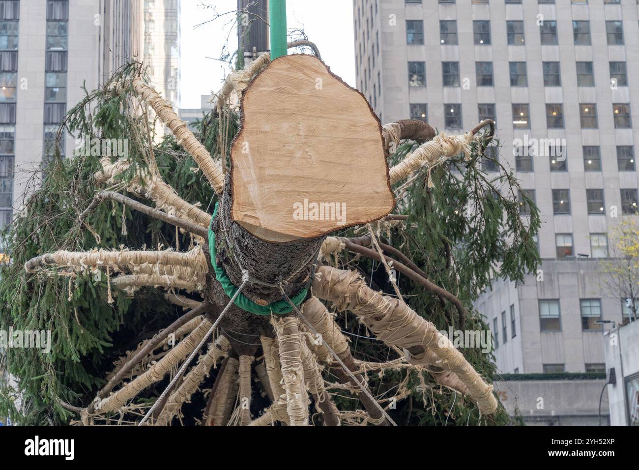 New York, NY, USA, 9 November 2024: The Rockefeller Center Christmas ...