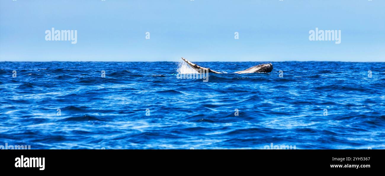 Breaking surface of ocean hi-res stock photography and images - Alamy