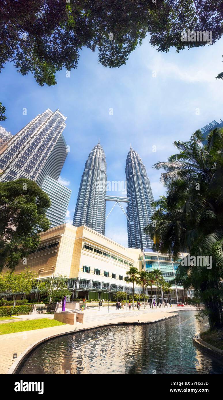 Vertical perspective palm trees hi-res stock photography and images - Alamy