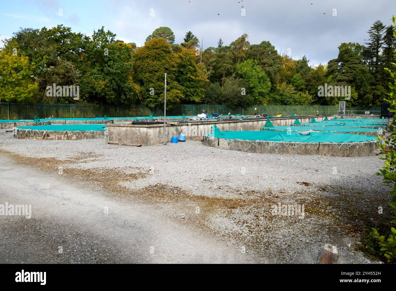 salmon pens and hatcheries at cong salmon hatchery , county mayo ...