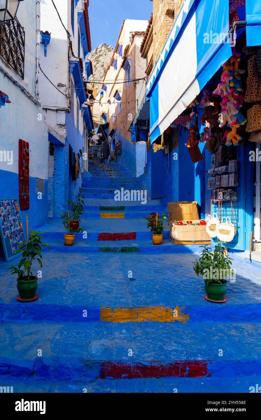 Blue colored houses and streets decorated with colorful flower pots in ...