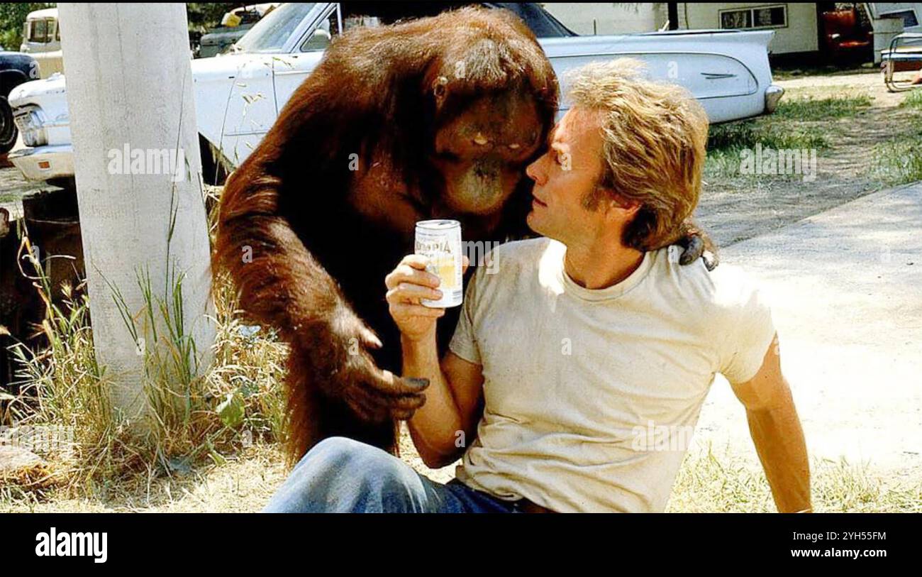 Any which way you can orangutan hi-res stock photography and images - Alamy