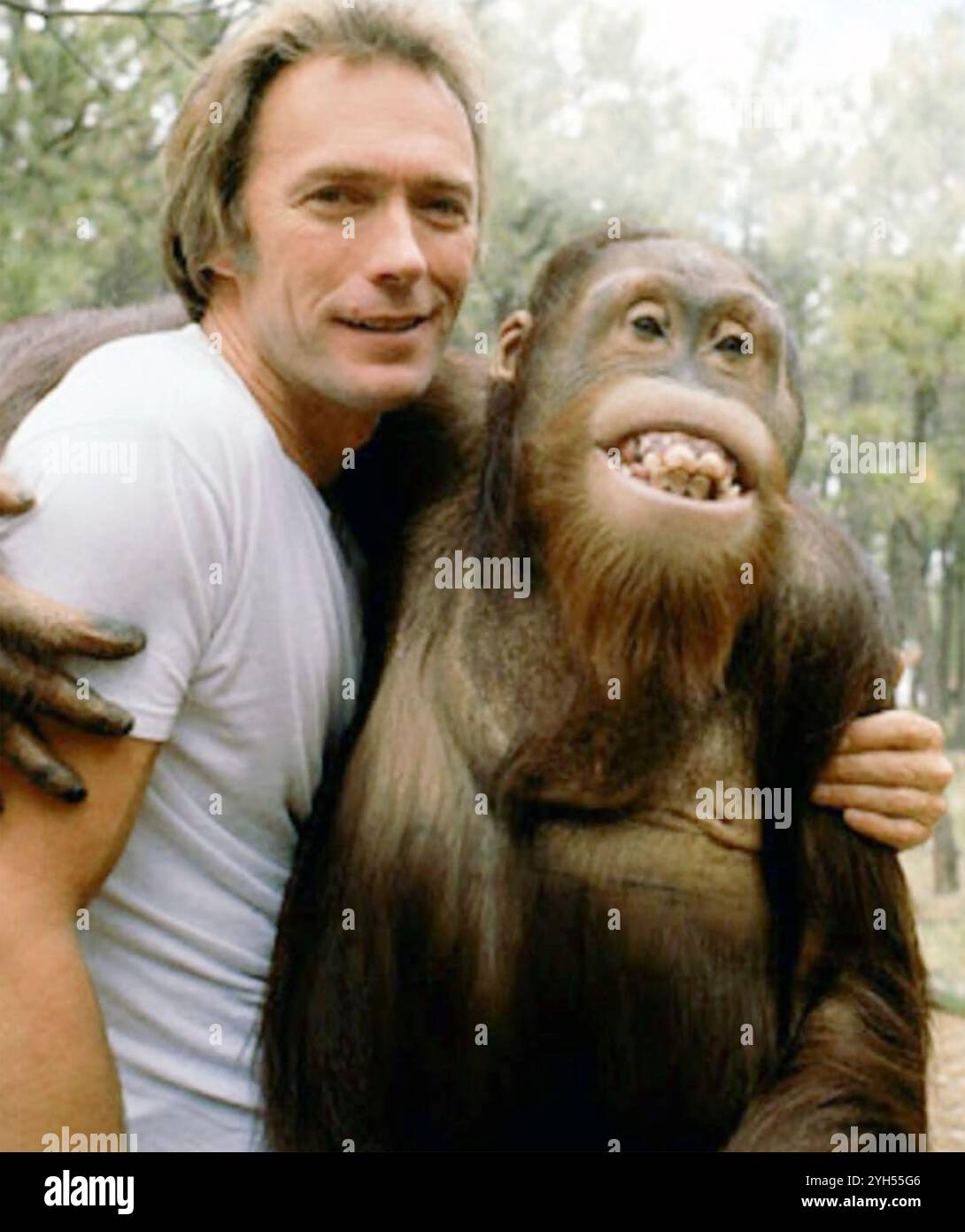 Any which way you can orangutan hi-res stock photography and images - Alamy