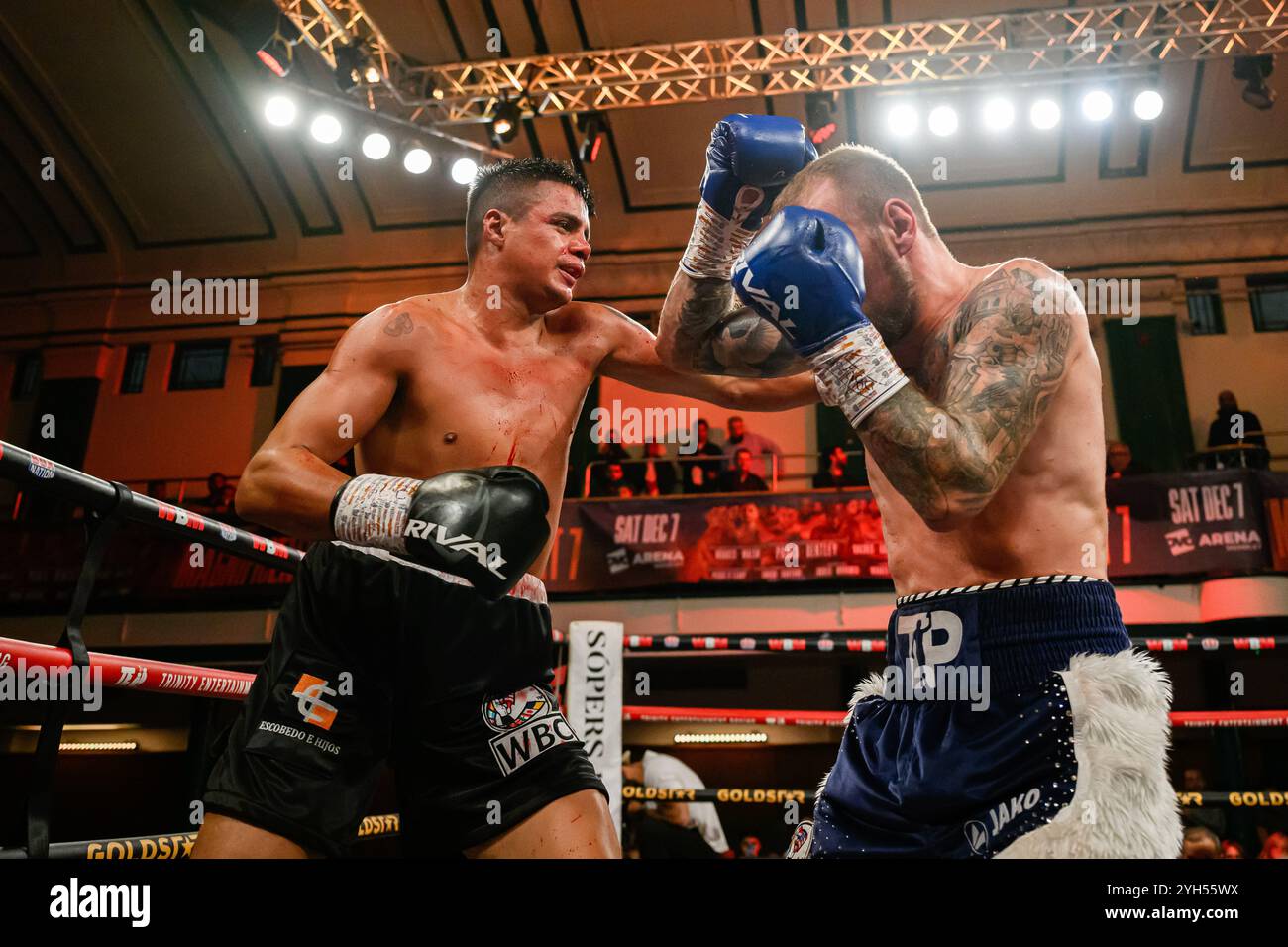 LONDON, UNITED KINGDOM. 08 Nov, 24. Luka Plantic vs Martin Bulacio - WBC International Super ...