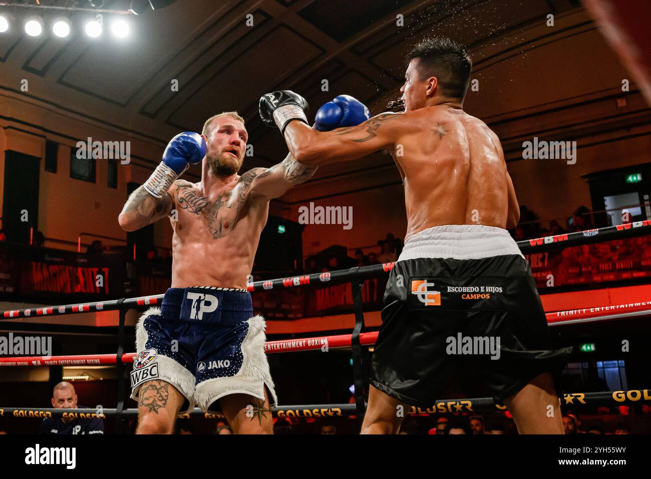 LONDON, UNITED KINGDOM. 08 Nov, 24. Luka Plantic vs Martin Bulacio ...