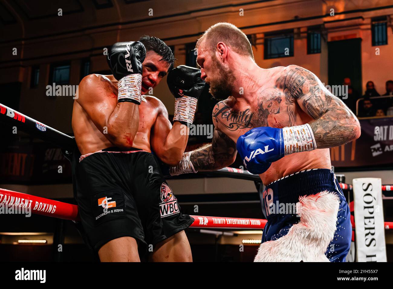 LONDON, UNITED KINGDOM. 08 Nov, 24. Luka Plantic vs Martin Bulacio ...