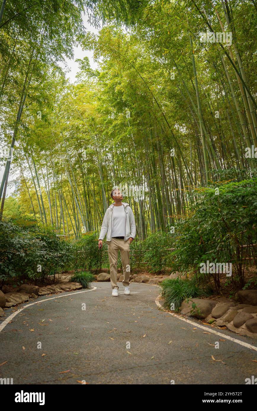 Man Walking on Path Through Dense Bamboo Forest Near Shanghai Stock ...