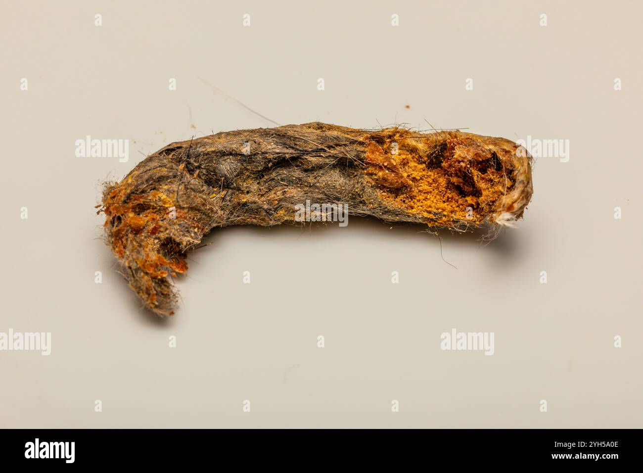 Cat vomit hair ball hi-res stock photography and images - Alamy