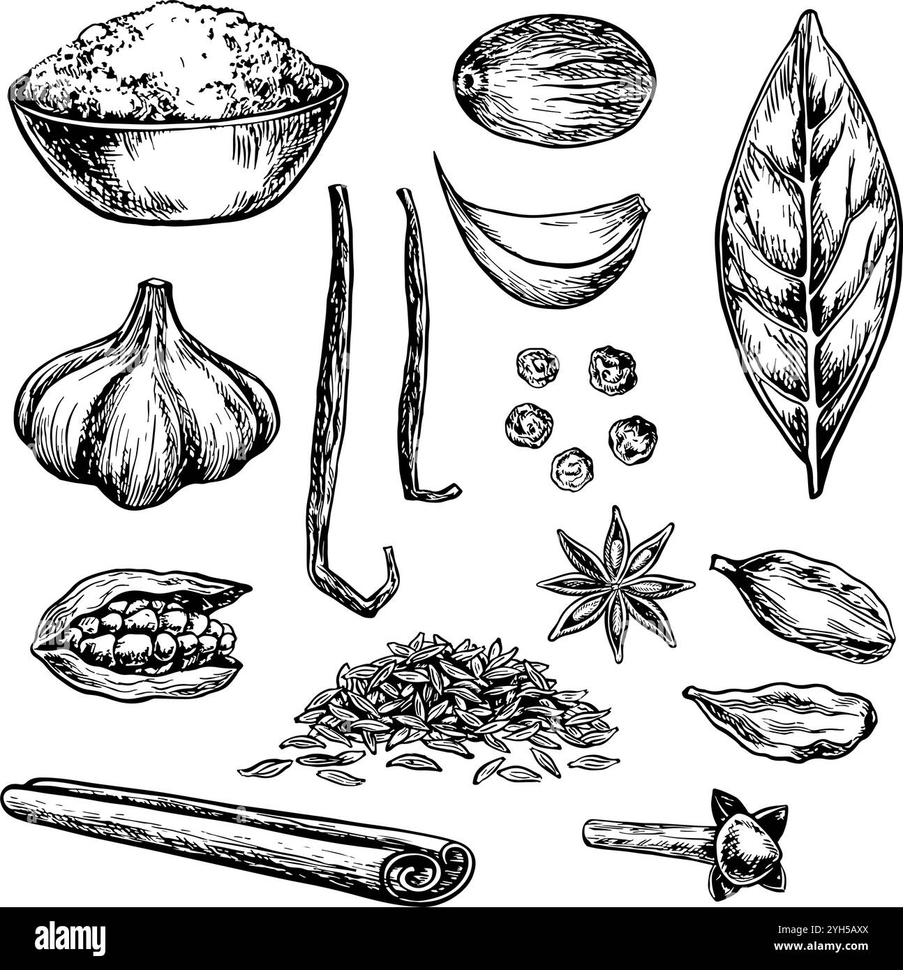Clip art with spices. Vector graphics depicting aromatic culinary ...