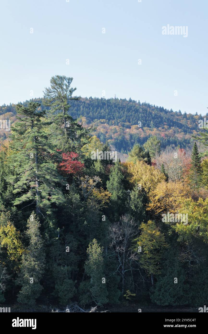 The brilliant fall foliage in the Adirondack Mountains of Upstate New ...