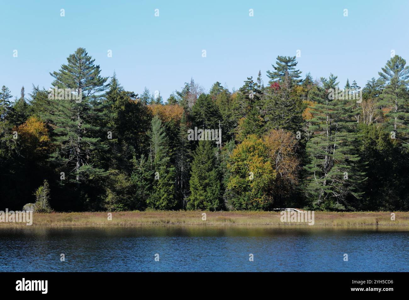 The brilliant fall foliage in the Adirondack Mountains of Upstate New ...