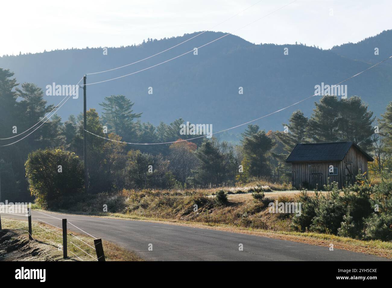 Moon Valley Farm’s iconic red barn and cows on a crisp October morning ...