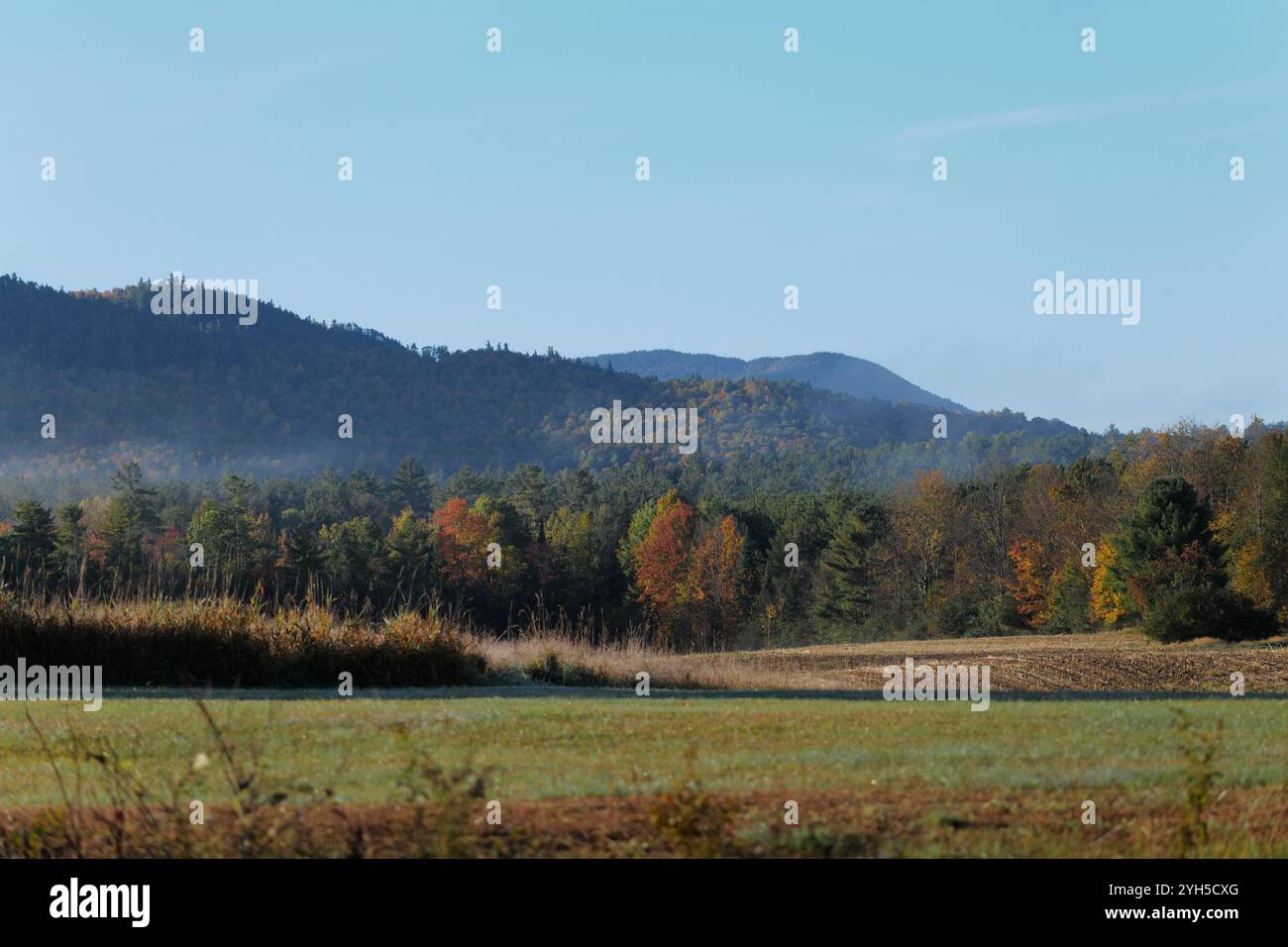 Moon Valley Farm’s iconic red barn and cows on a crisp October morning ...