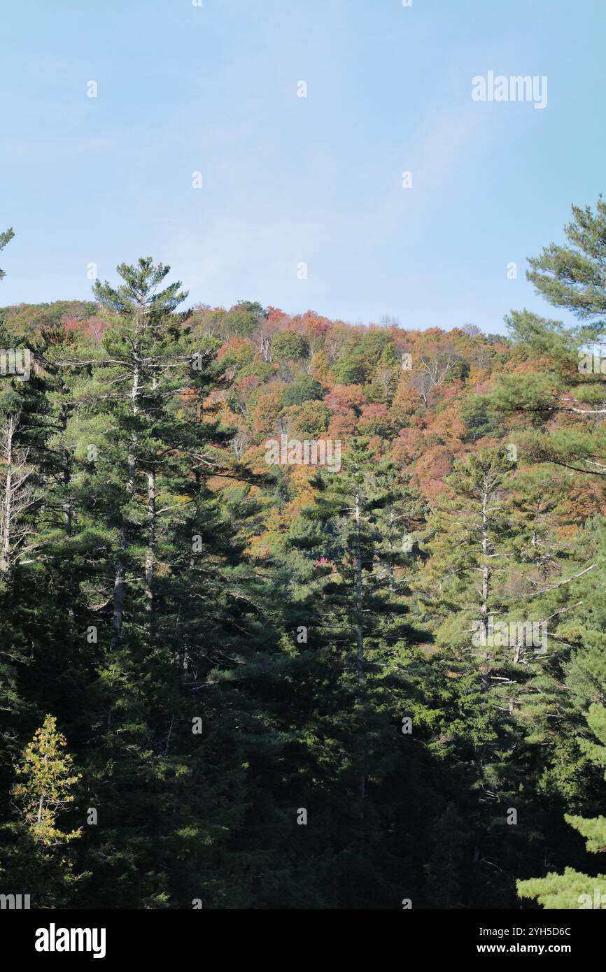 The brilliant fall foliage in the Adirondack Mountains of Upstate New ...