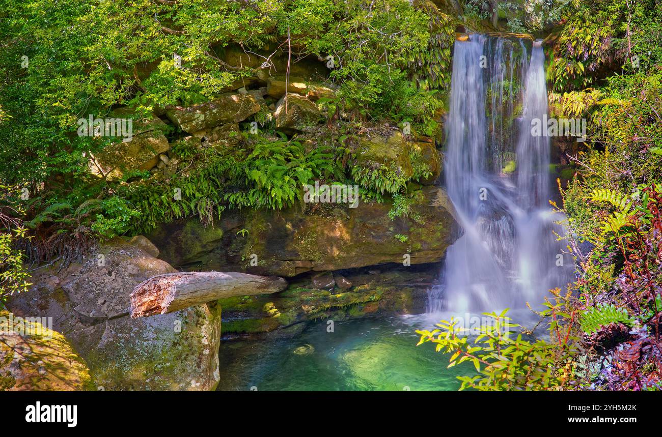 Middle waterfall and green pool along Chasm falls trail Meander Forest ...