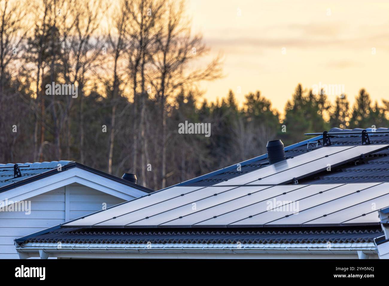 Close-up of modern rooftop solar panels on villa with forest backdrop ...