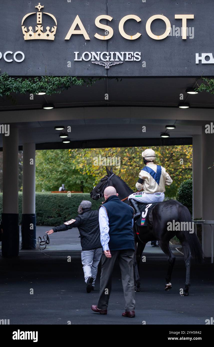 Bhaloo hi-res stock photography and images - Alamy