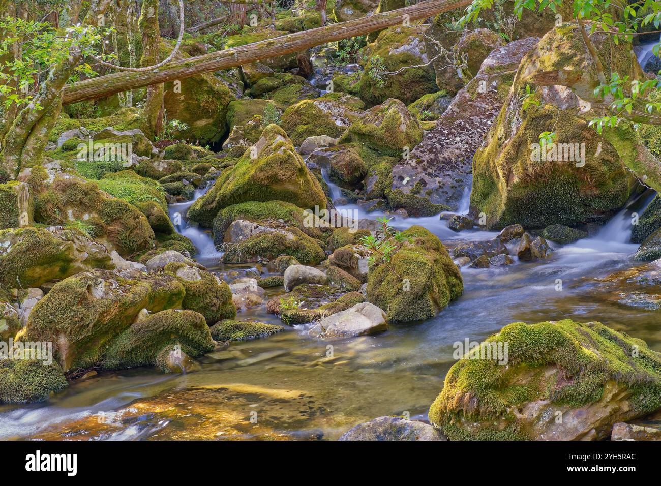 Blurred water over rapids, cascades, falls with mossy boulders along ...