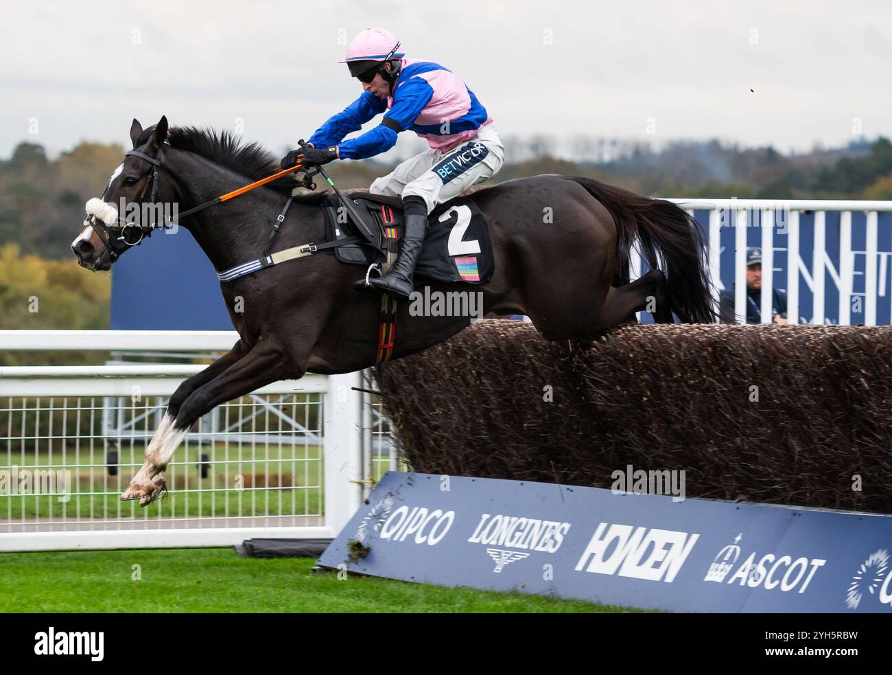 Season 2024 hi-res stock photography and images - Alamy