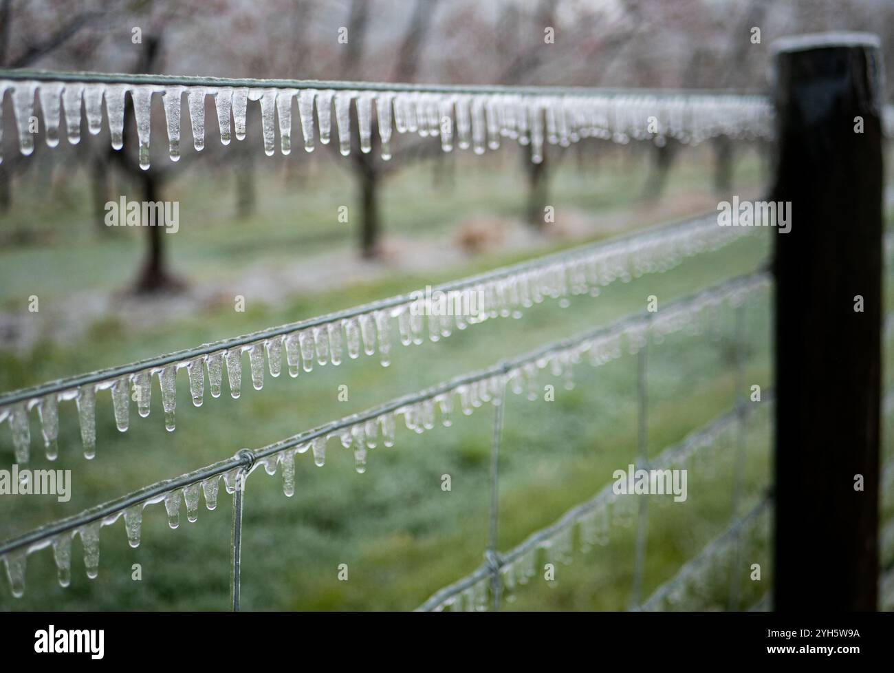 Line art fence hi-res stock photography and images - Alamy