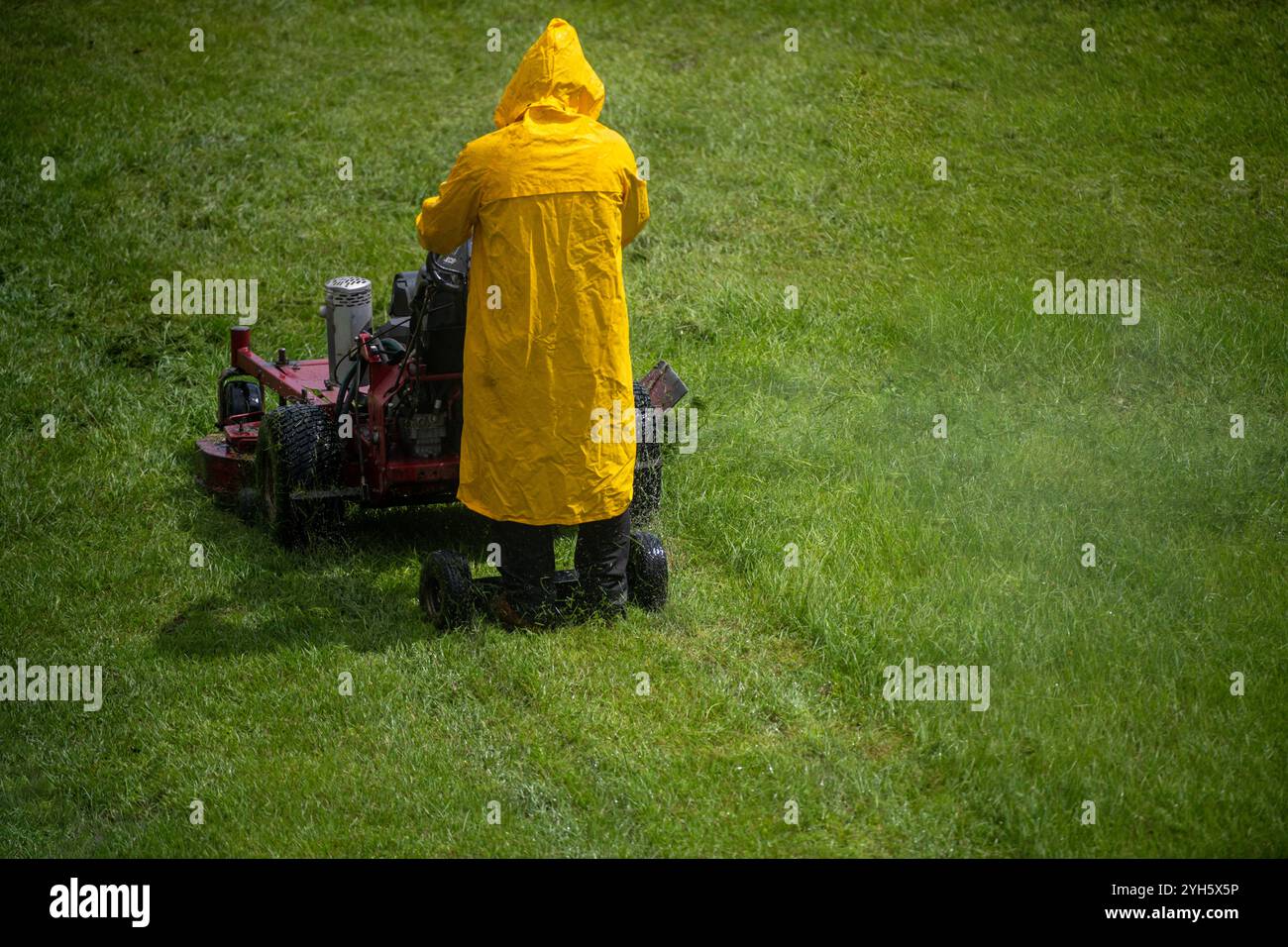 Mowing lawn. Grass clippers. Lawn care. Grass Background. Lawn mower ...
