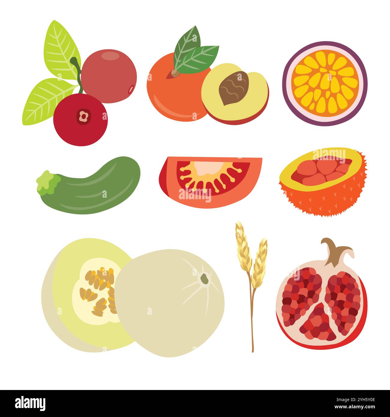 Vibrant Fruits from Around the World Stock Vector Image & Art - Alamy