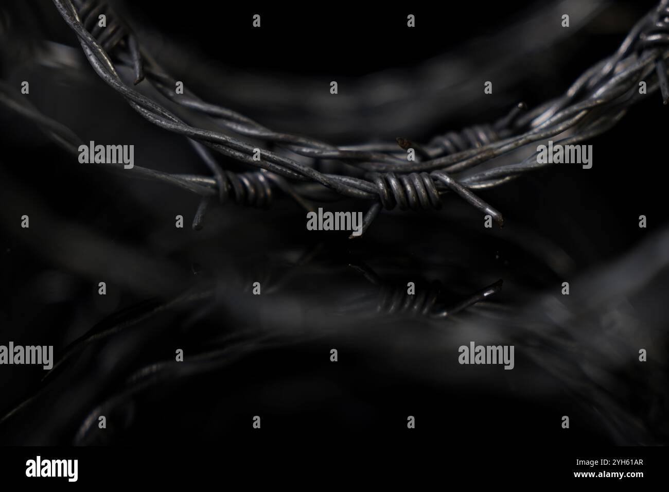 Concertina wire fence hi-res stock photography and images - Alamy