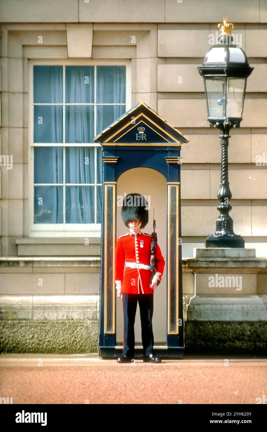 Royal Palace Guard, Buckingham Palace, London, England Stock Photo - Alamy
