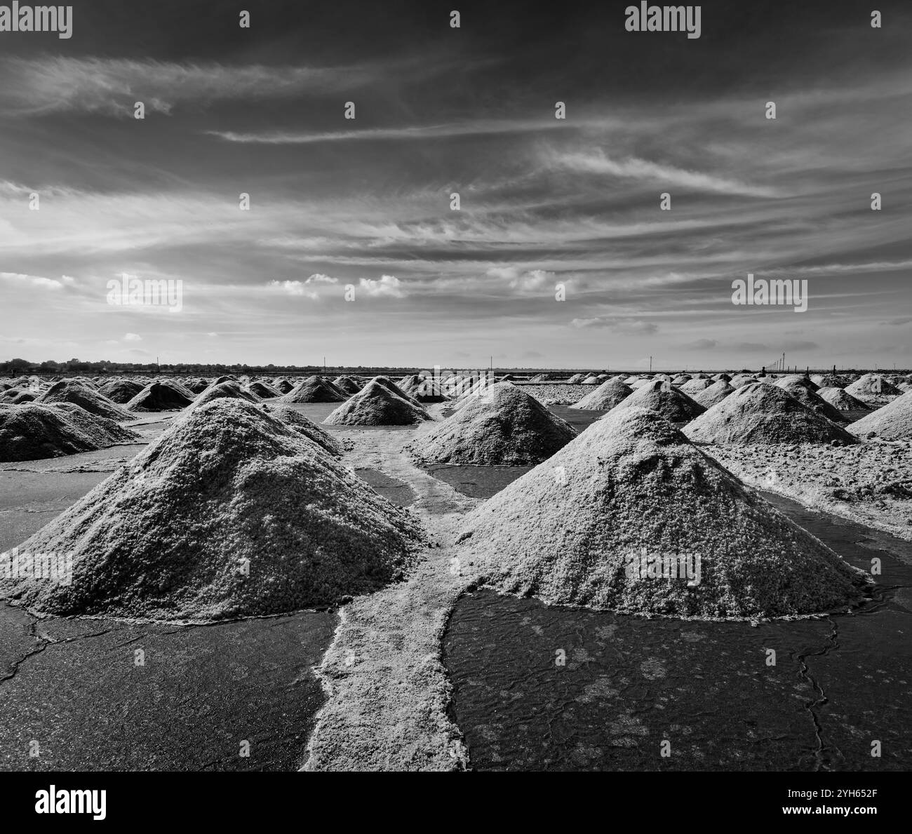 Salt mine at Sambhar Lake, Rajasthan, India Stock Photo - Alamy