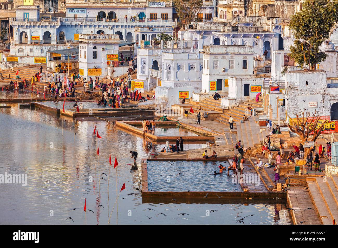 Hindu devotees bathing in sacred Puskhar Sagar lake on on ghats of ...