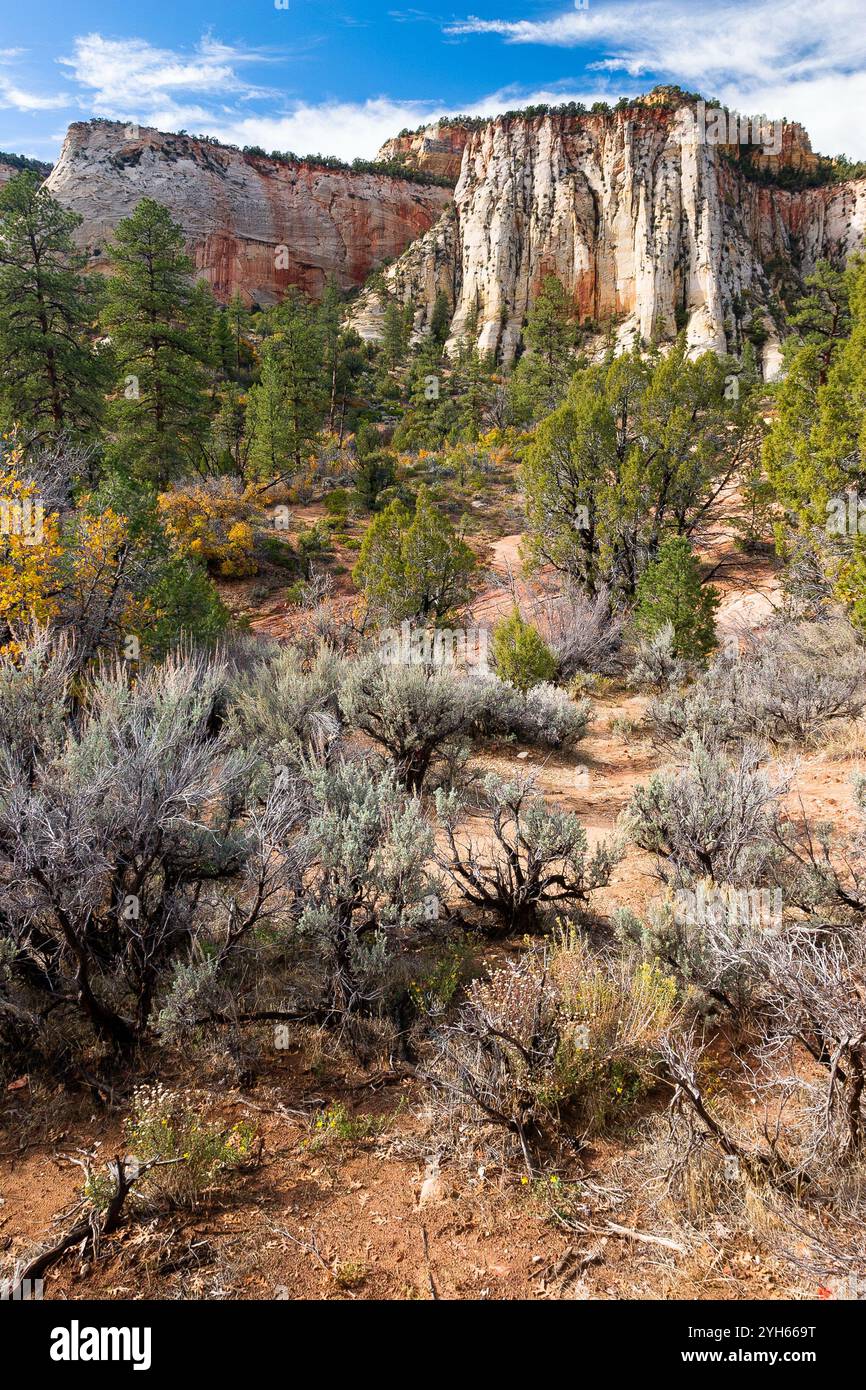 A healthy blend of high desert vegetation flourishing below distant ...