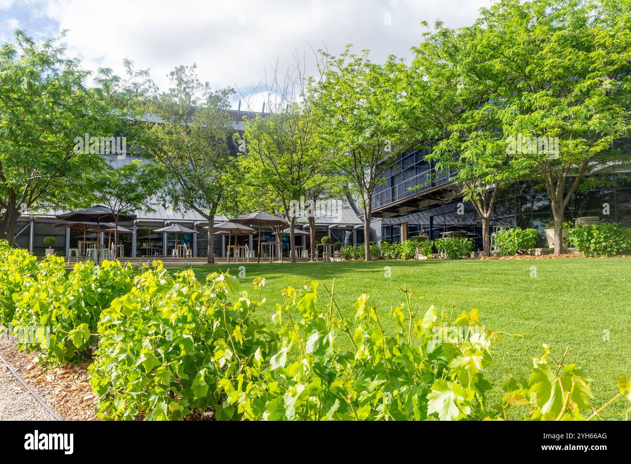 National Wine Centre of Australia, Adelaide Botanic Garden, North ...
