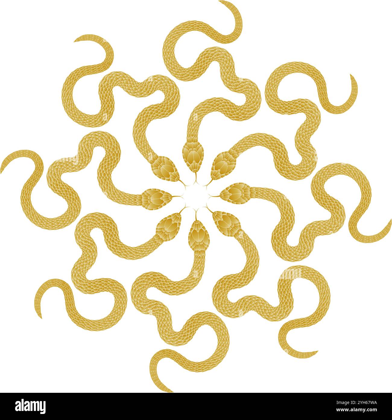 Composition of golden snake pattern on white background Stock Vector ...