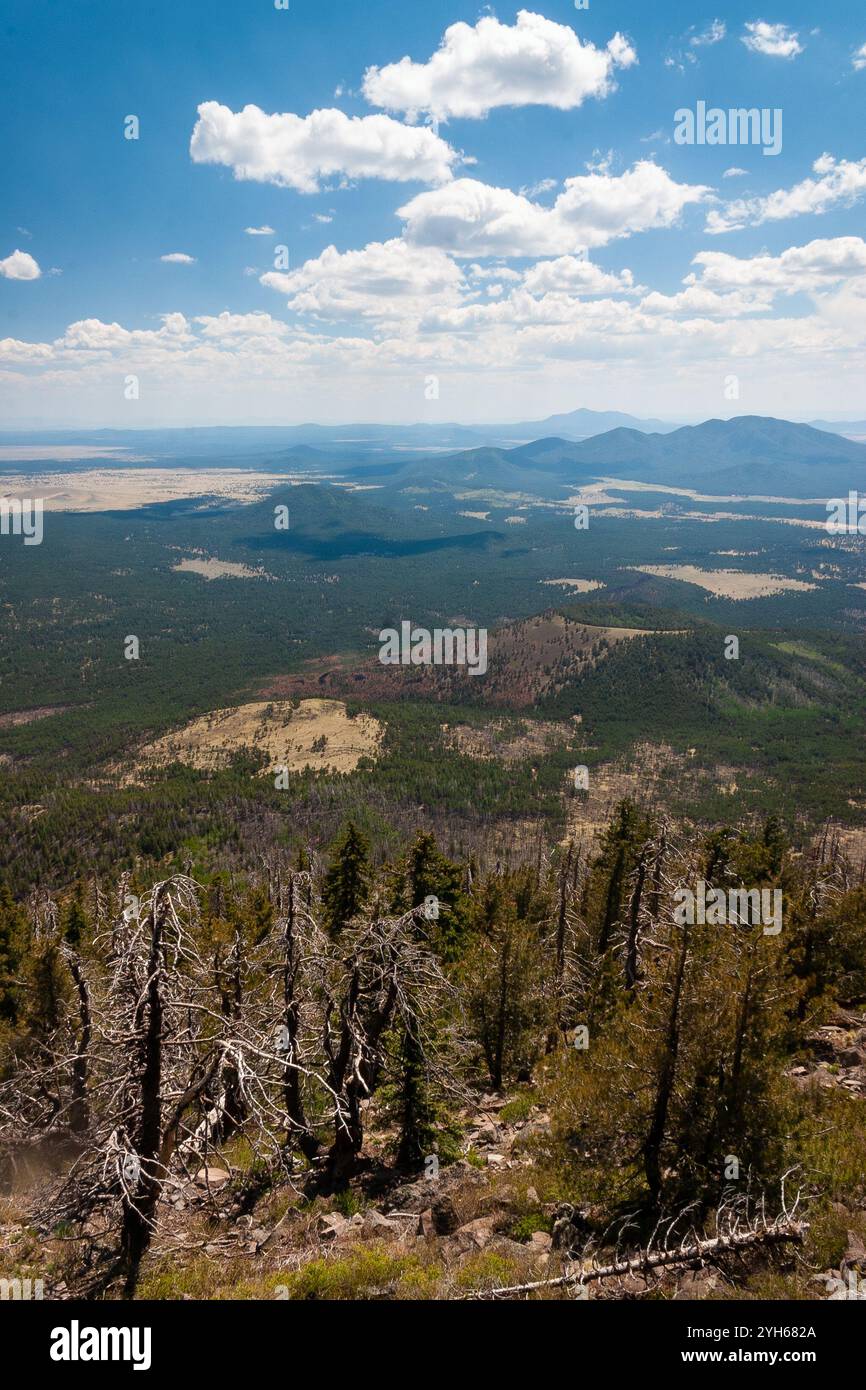 Cinder cones stretching out into the distance below the Mount Kendrick ...