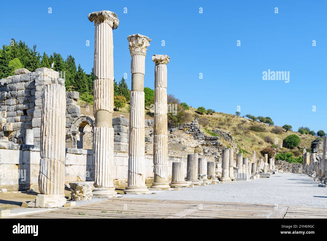 Awesome view of columns in Ephesus (Efes) at Turkey Stock Photo - Alamy