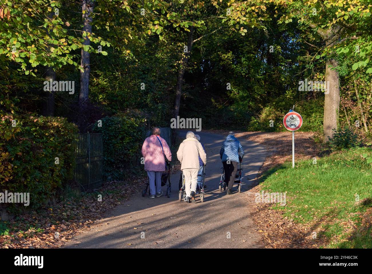 Elderly Women Walking with Rollators in Autumn Park, Peaceful Forest ...