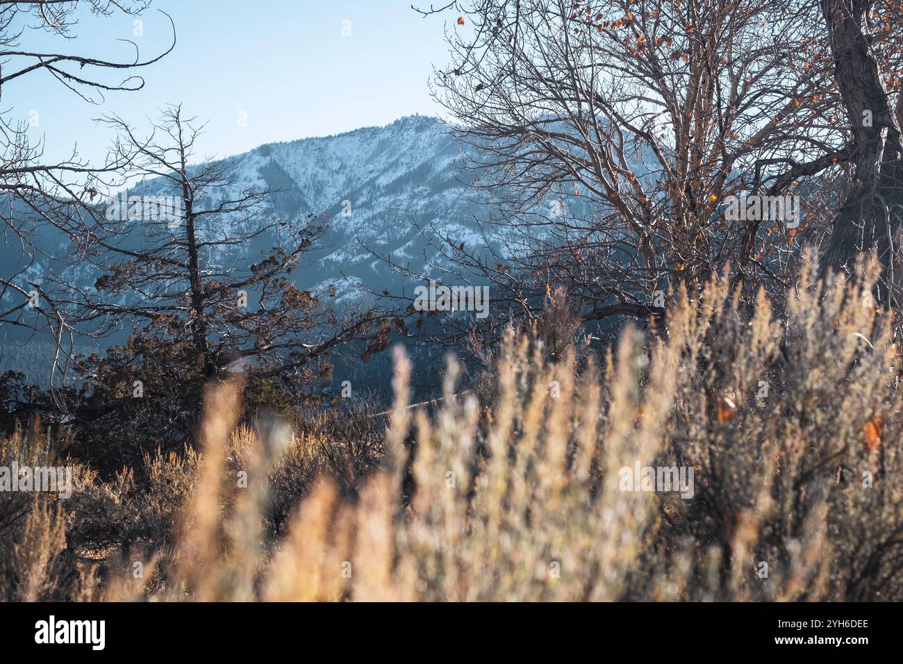 Sunset in the Absaroka Range near the entrance to Yellowstone National ...