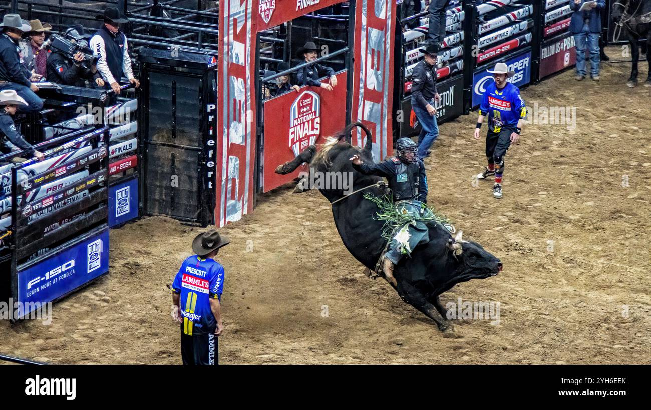 Professional bull riding canadian national championships hi-res stock ...