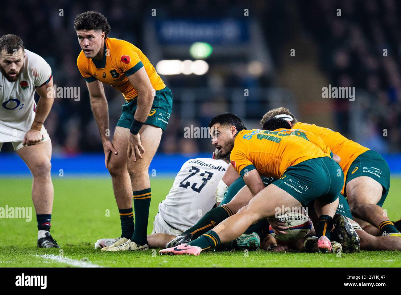 Tom Wright of Australia during the Autumn Nations Series 2024 rugby ...
