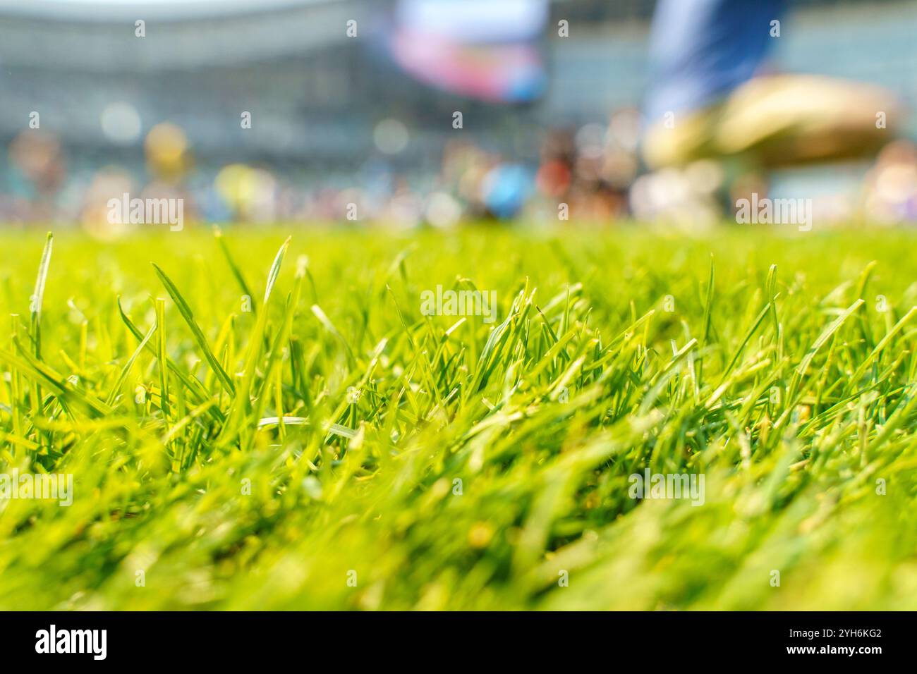 Stadium arena background. Green sport stadium lawn macro video. High ...