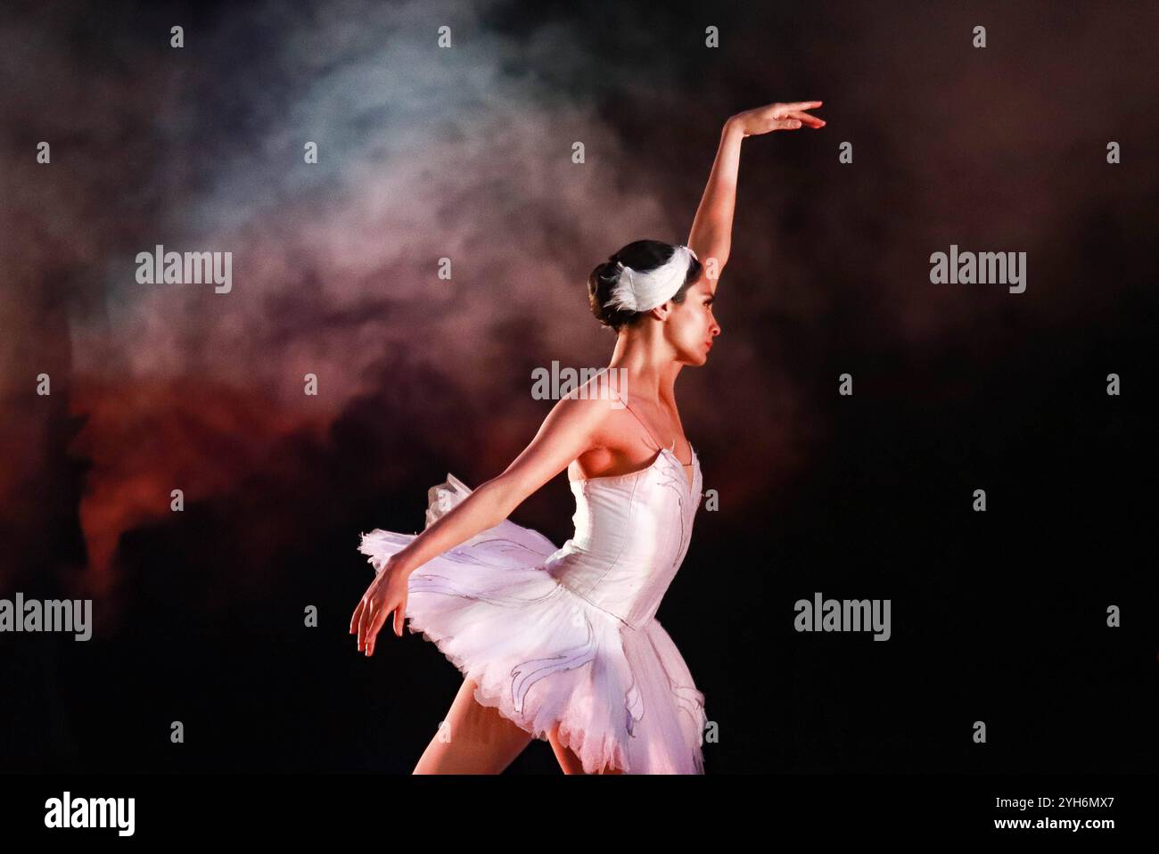 Swan Lake General Rehearsa at Palacio de Bellas Artes National Dance ...