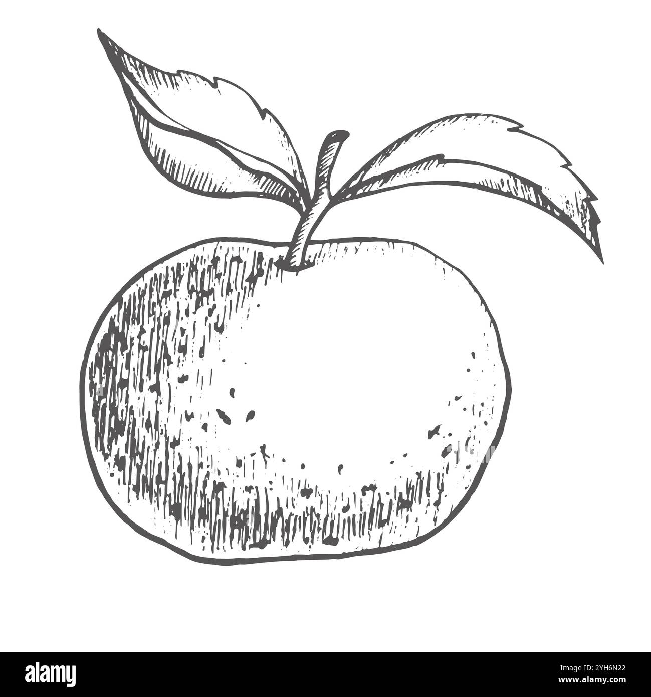 Object holiday graphics winter Cut Out Stock Images & Pictures - Alamy