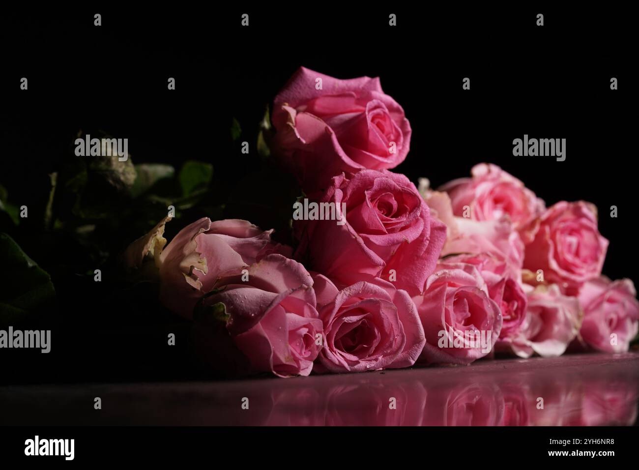 Beautiful bunch roses hi-res stock photography and images - Alamy