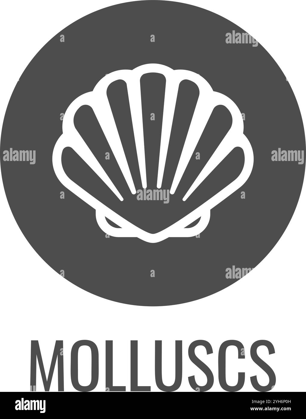 Seashell Shell Clam Mollusc Seafood Food Icon Stock Vector Image & Art ...