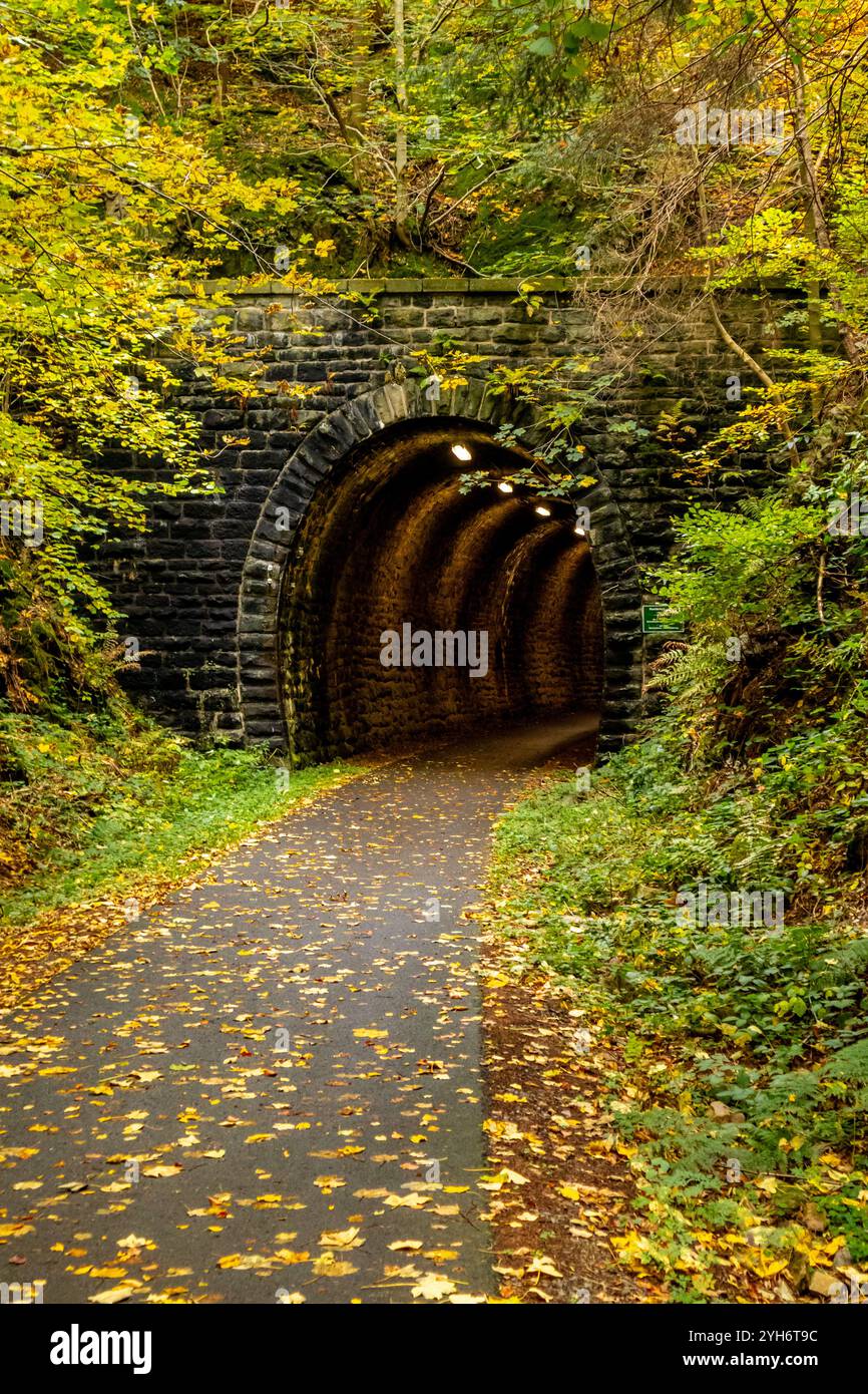 An autumn cycle tour through the Thuringian Forest on the Mommelstein ...